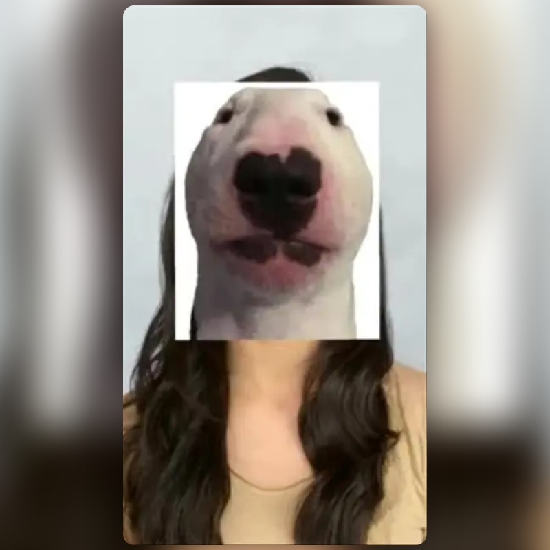 walter the dog Filter by 🎀🧸raiden🧸🎀 | Snapchat Lenses