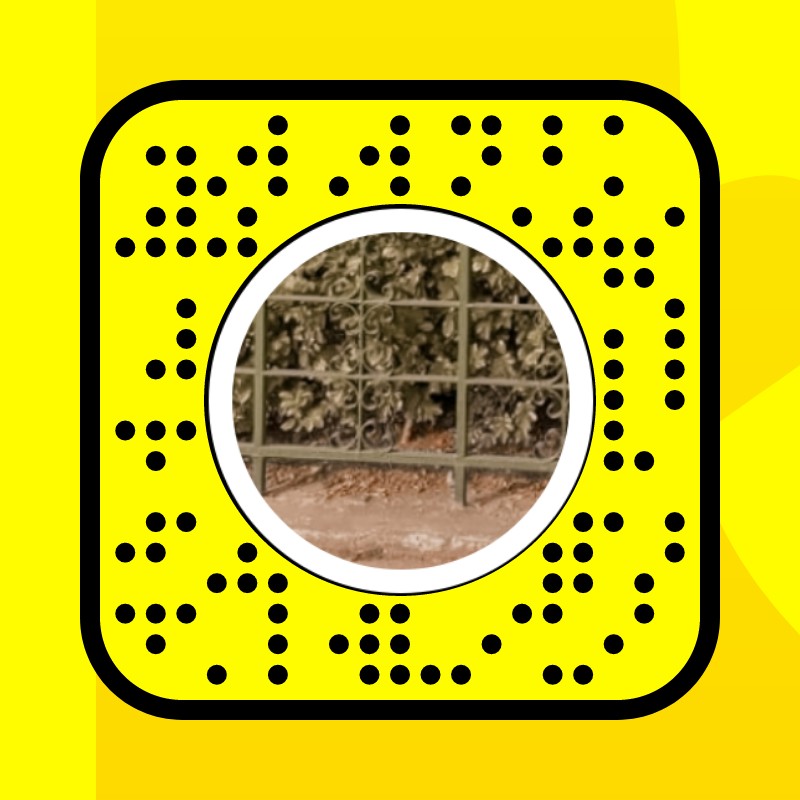 HARD WARM Filter by Tushar Mohanani | Snapchat Lenses