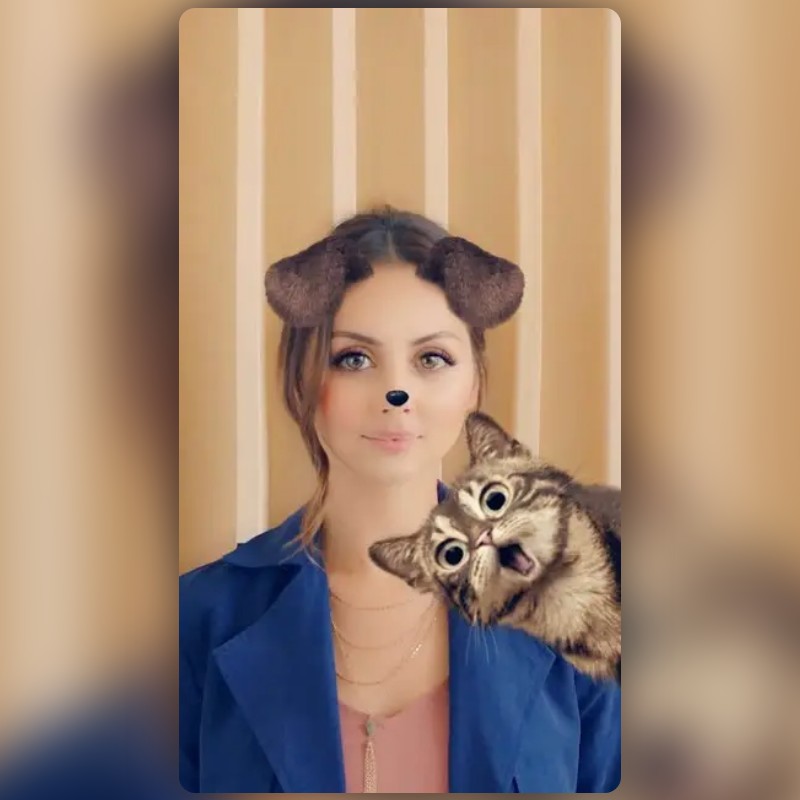 Dog and Cat Lens by Snapchat - Snapchat Lenses and Filters