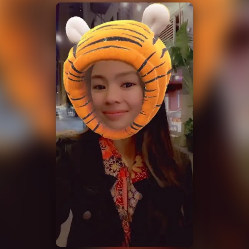 Tiger Hat Lens by Snapchat - Snapchat Lenses and Filters
