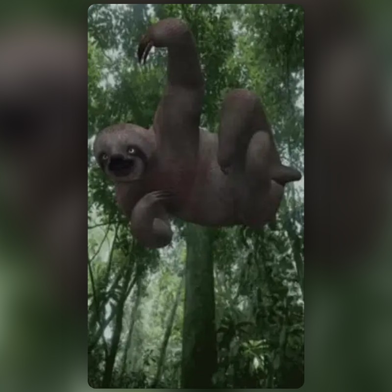 Sloth Filter by 👻s0w_night👁️🌗 | Snapchat Lenses