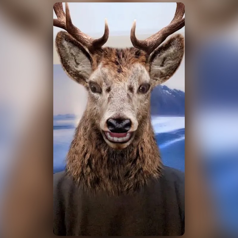 Stag Filter by Snapchat | Snapchat Lenses