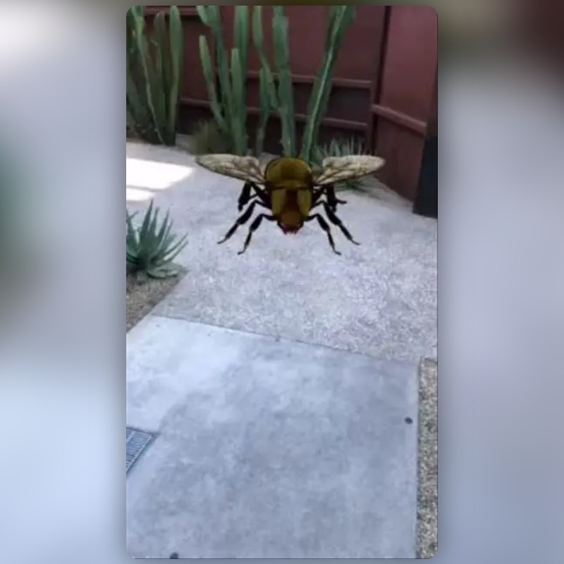 Bee flying Filter by Mar | Snapchat Lenses
