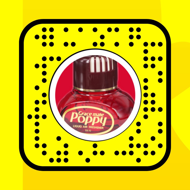 Poppy Lens by albin 😁 - Snapchat Lenses and Filters