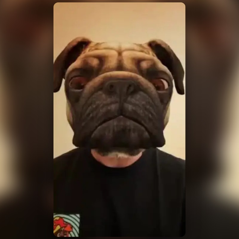 Dog Morph Lens by Tactical. - Snapchat Lenses and Filters