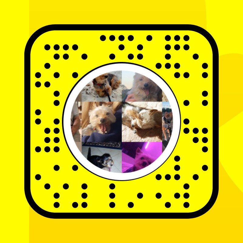 Milly Tiles Filter by oscar wright | Snapchat Lenses