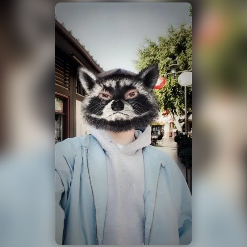 Raccoon Transformation Lens by Snapchat - Snapchat Lenses and Filters