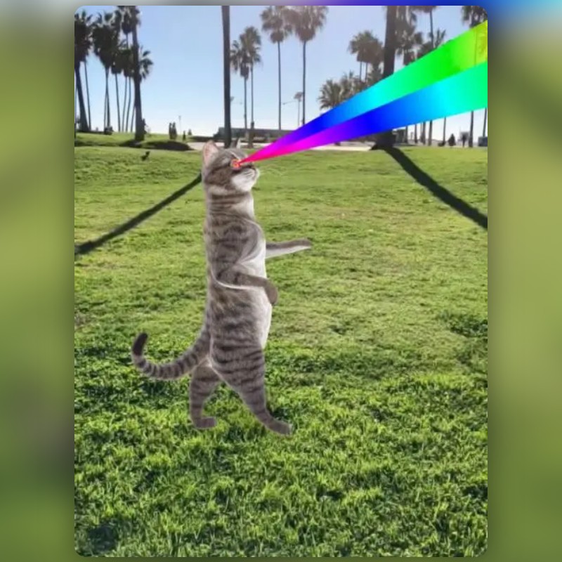 Laser Cat Lens by Snapchat - Snapchat Lenses and Filters