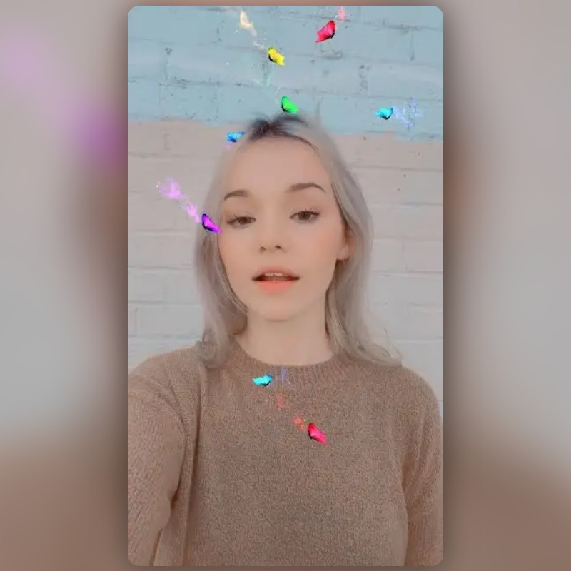 Colourful Butterflies Filter by Snapchat | Snapchat Lenses