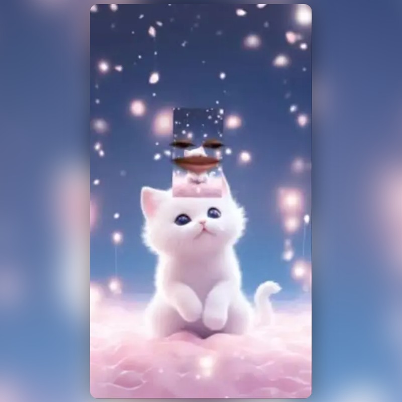 Cute cat Filter by Shahid bhat | Snapchat Lenses