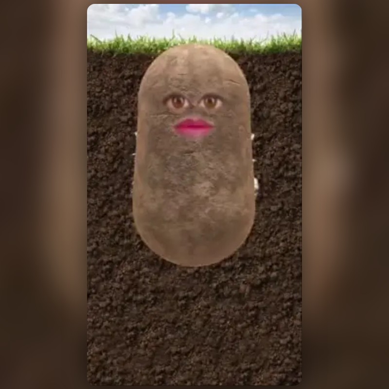 Potato Blonde Lens by Phil Walton - Snapchat Lenses and Filters