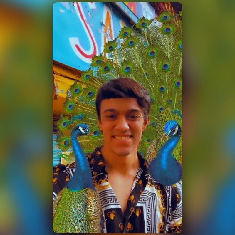 Peacocks! Lens by Snapchat - Snapchat Lenses and Filters