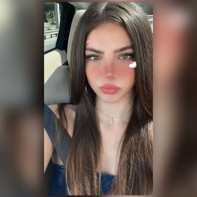 kitty Filter by willys | Snapchat Lenses