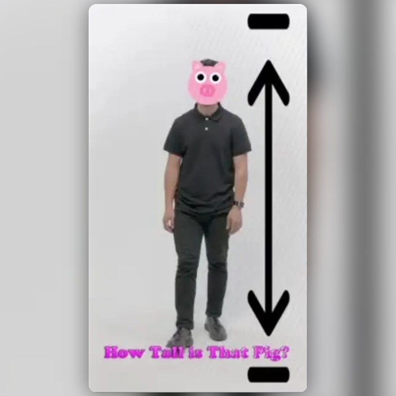 Peppa Pig Height Filter by agreeable greg | Snapchat Lenses