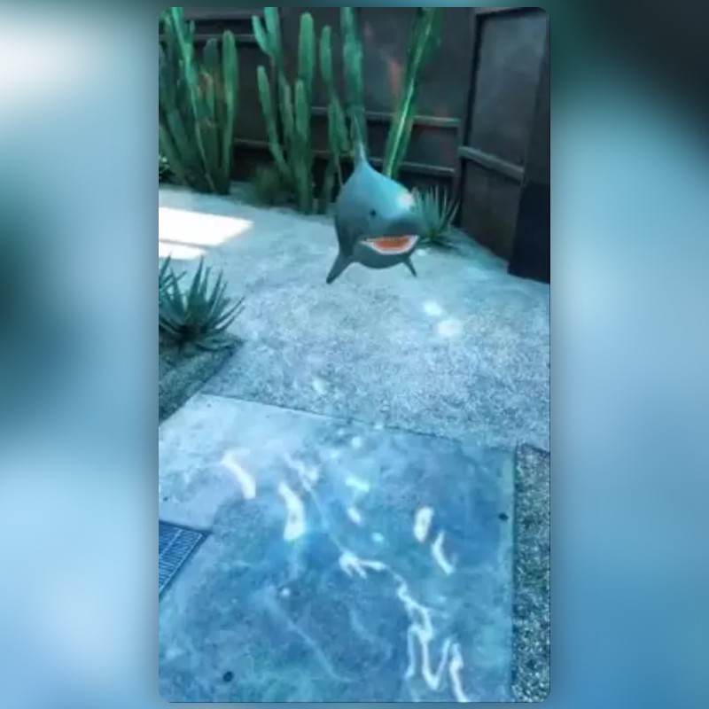 Shark Filter by Vivek Thakur 🌴 | Snapchat Lenses