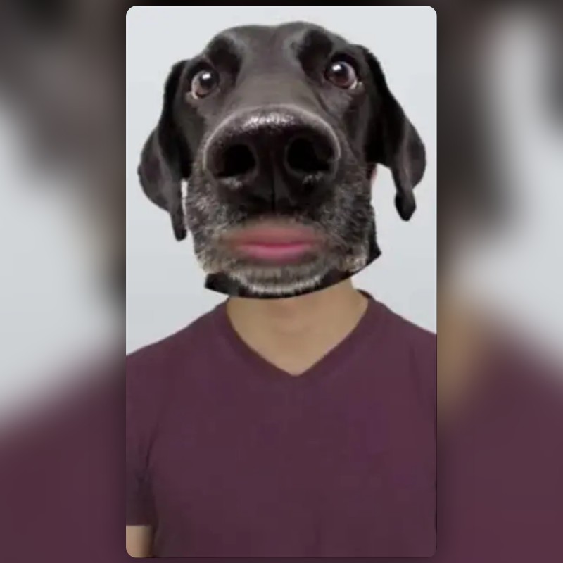 dog Lens by sou FI ane - Snapchat Lenses and Filters