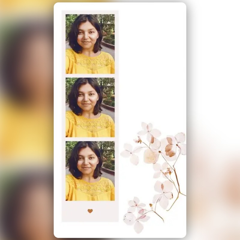 Dried Flowers Filter by Snapchat | Snapchat Lenses