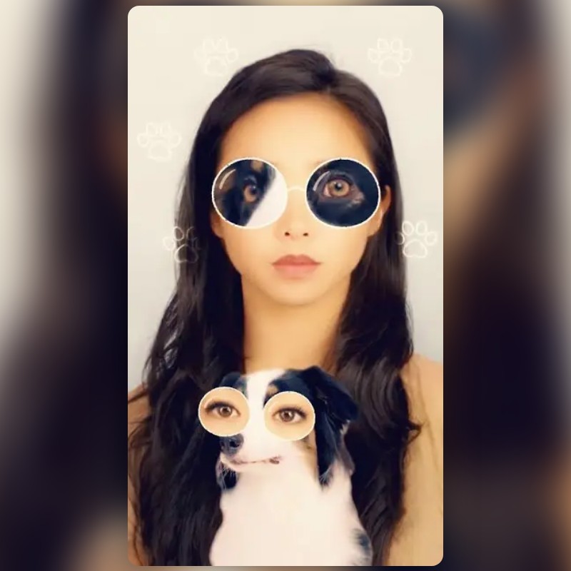 Glasses for Pet Lens by Snapchat - Snapchat Lenses and Filters