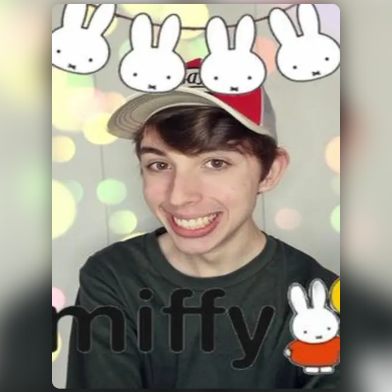 Miffy Banner Lens by Lord Montgomery - Snapchat Lenses and Filters