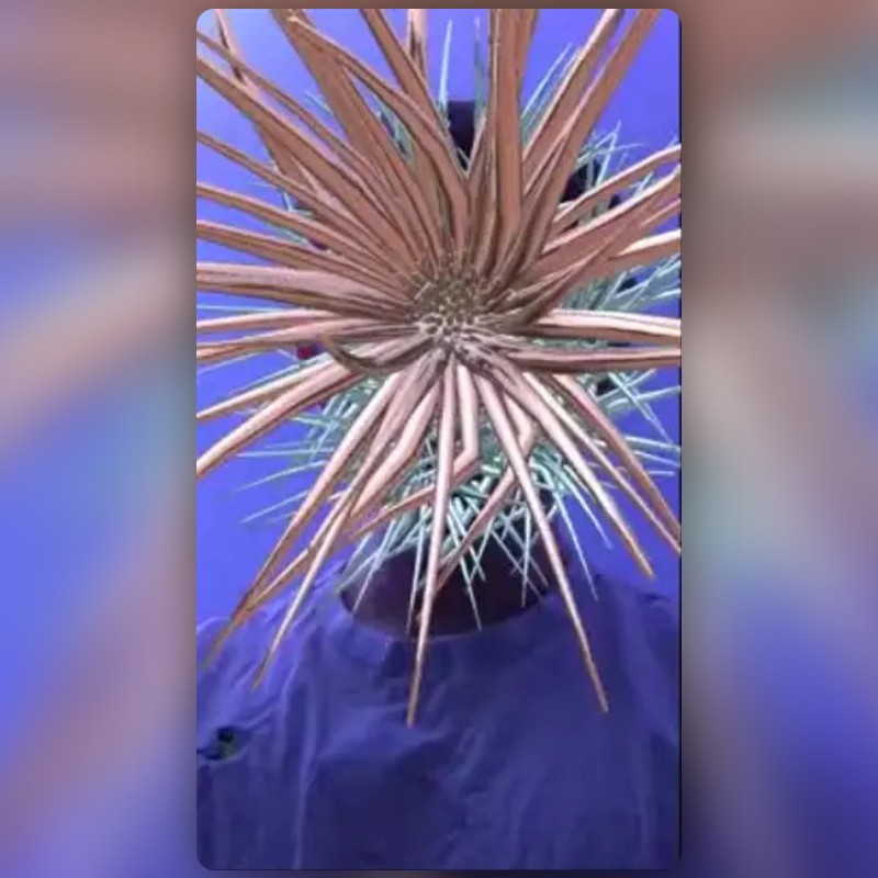 squidface Filter by noah valen-utvik | Snapchat Lenses