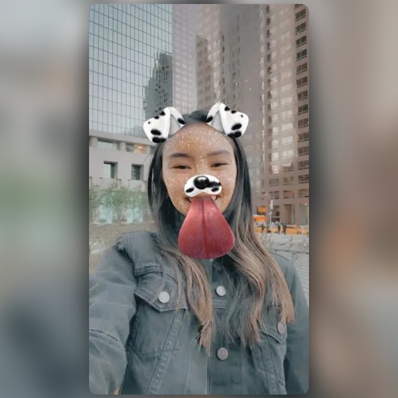 Sparkling Dog Filter by Snapchat | Snapchat Lenses
