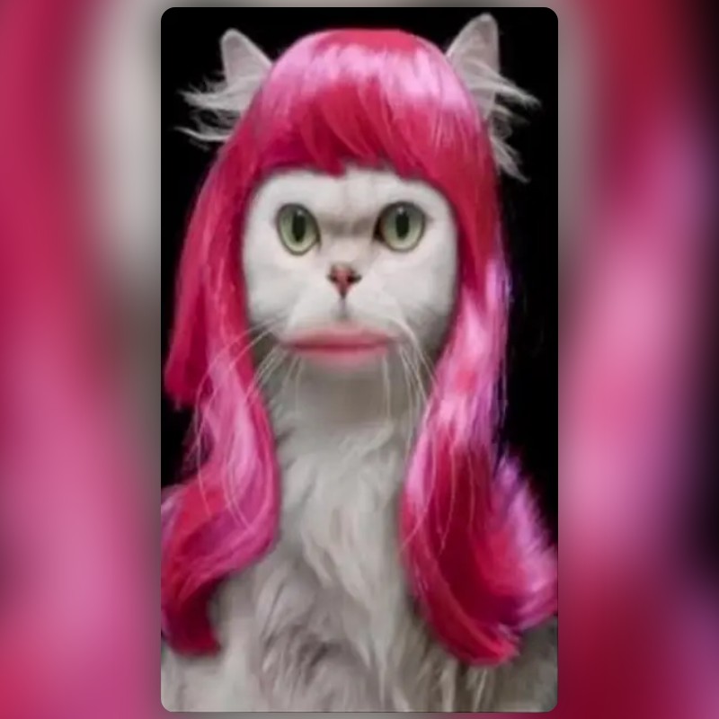 pink cat Filter by Luis Serra | Snapchat Lenses