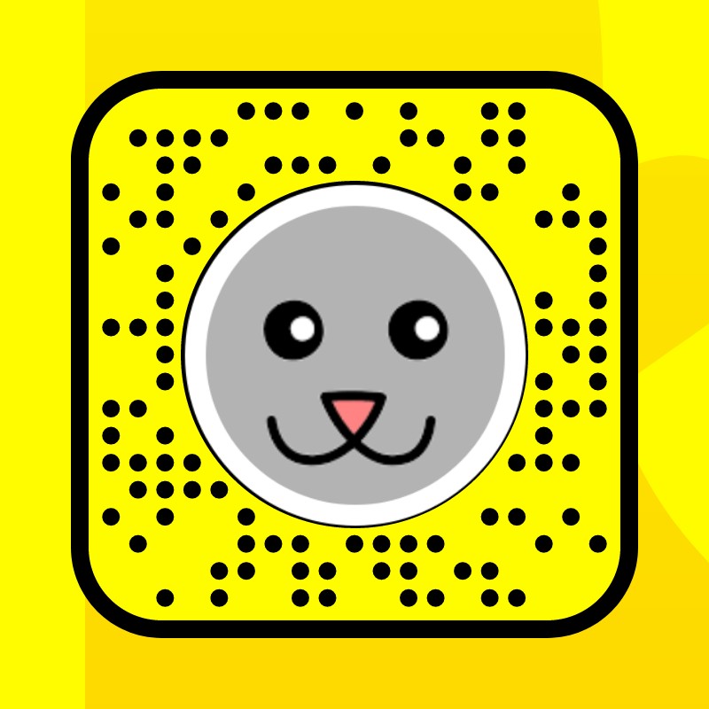 Filter for cats Lens by Guusje🌙⭐ - Snapchat Lenses and Filters
