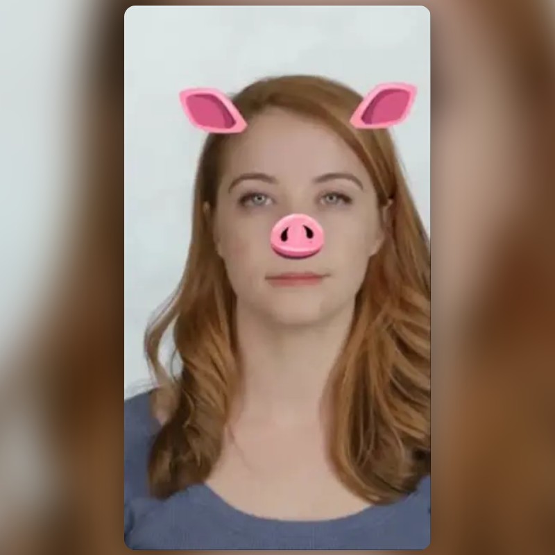Pig Face Lens by Charles Hamblen - Snapchat Lenses and Filters