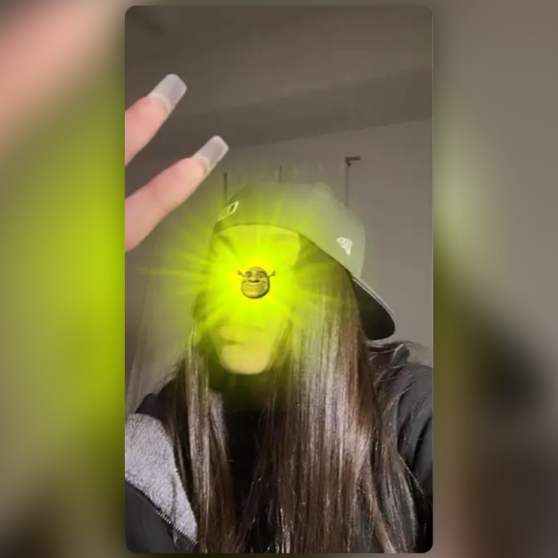 shrek self Lens by Eren - Snapchat Lenses and Filters