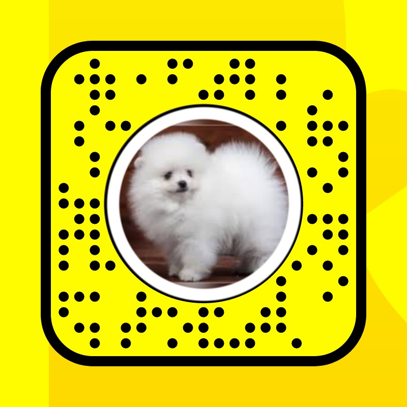 Camera Kit Default Filter by 🧿Smart Boy Arun 🧿⭐ | Snapchat Lenses