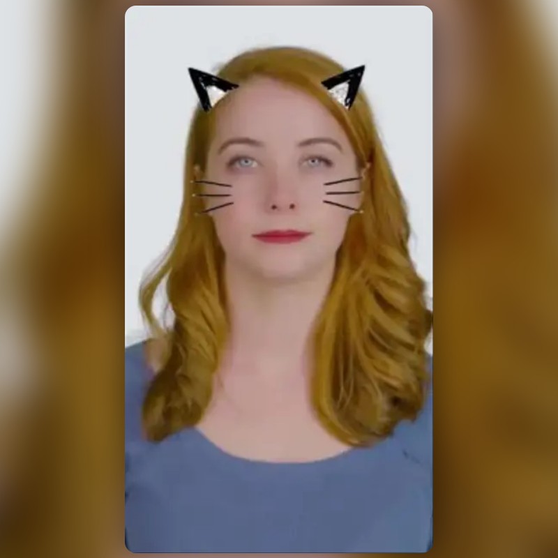 cute kitty Filter by Priskalia Dewi | Snapchat Lenses