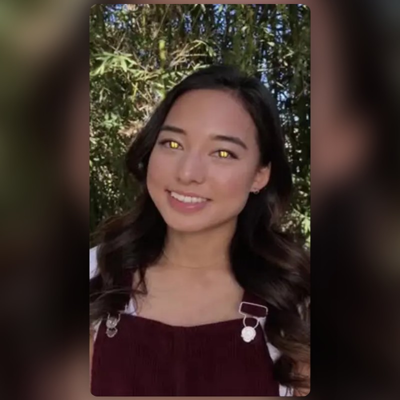 Lizard Eyes Filter by Nicholas Dominici | Snapchat Lenses