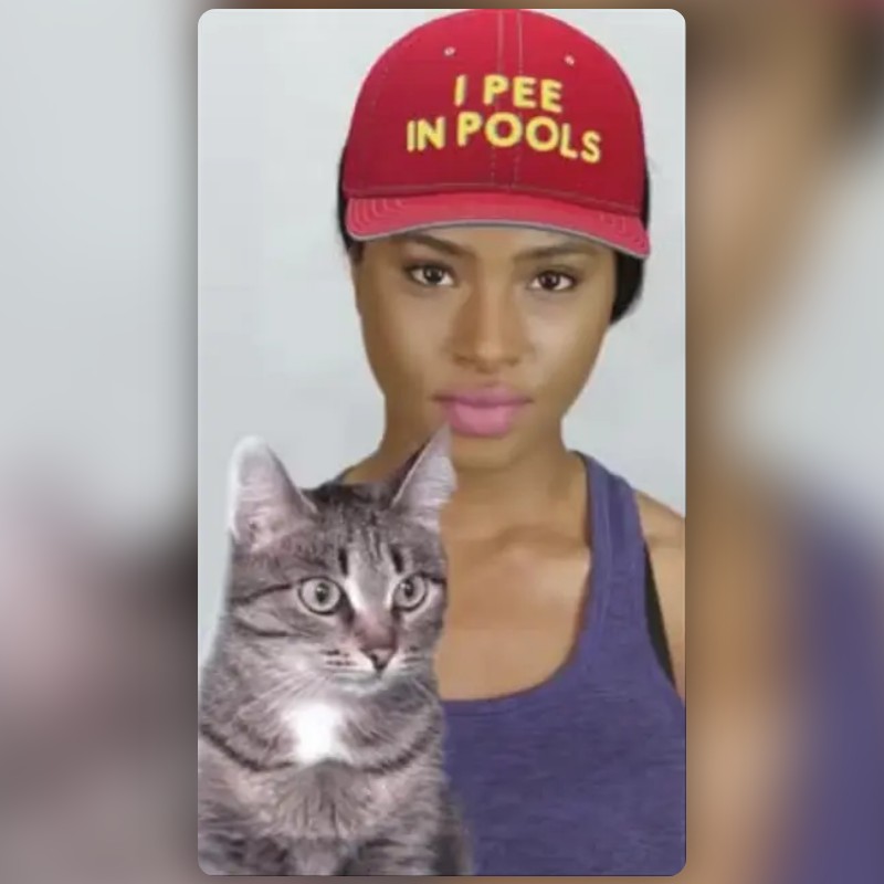 Funny Hat Filter by kasim | Snapchat Lenses