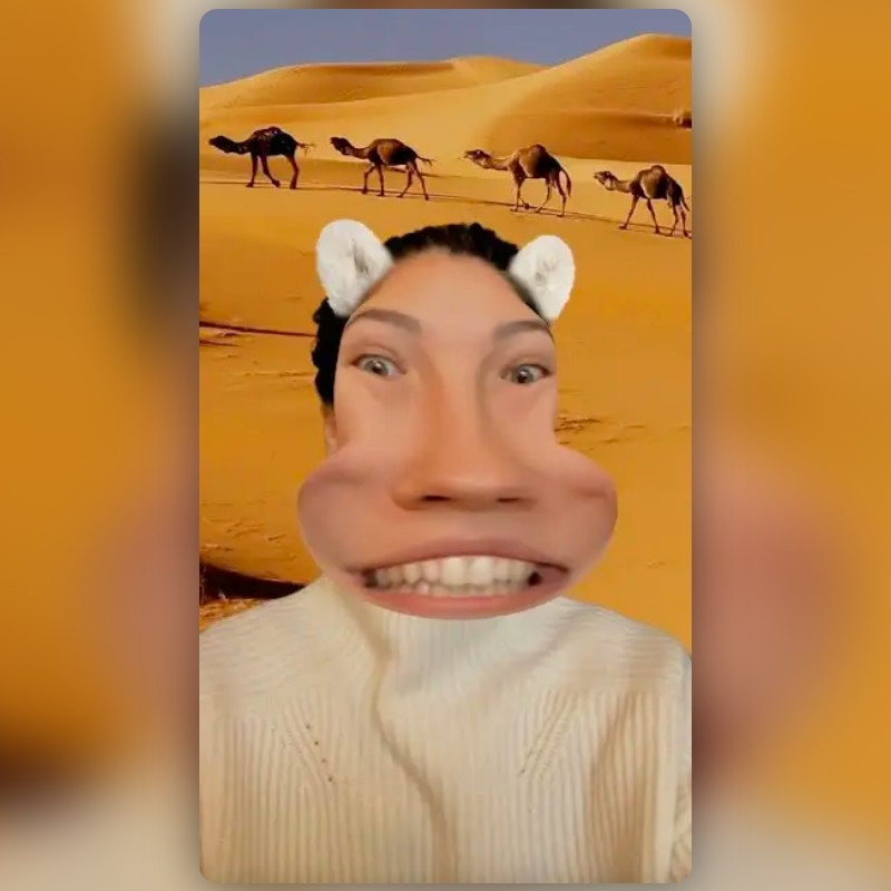 Your Own Animal Filter by Snapchat | Snapchat Lenses