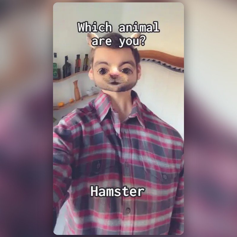 Which animal are you? Filter by Snapchat | Snapchat Lenses