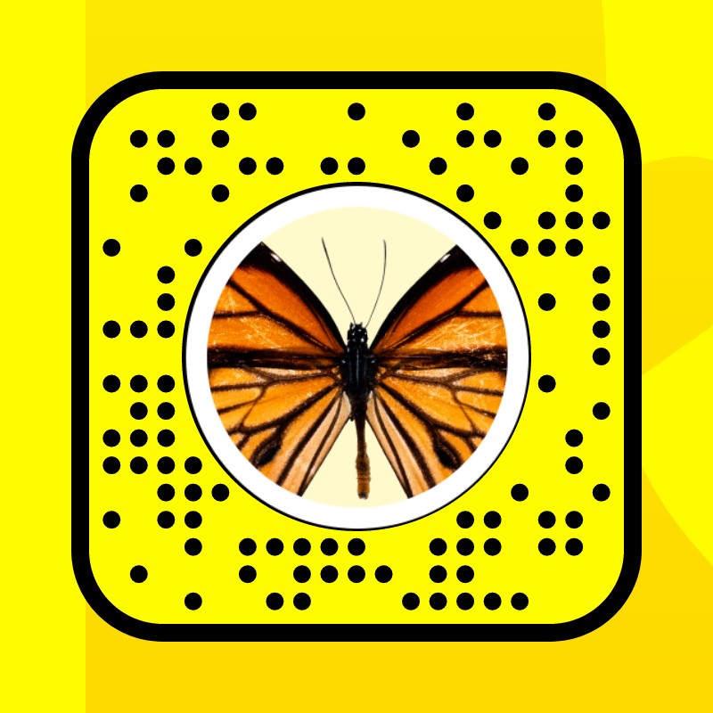 butterflies x2 vhs Filter by Violet Johnson | Snapchat Lenses