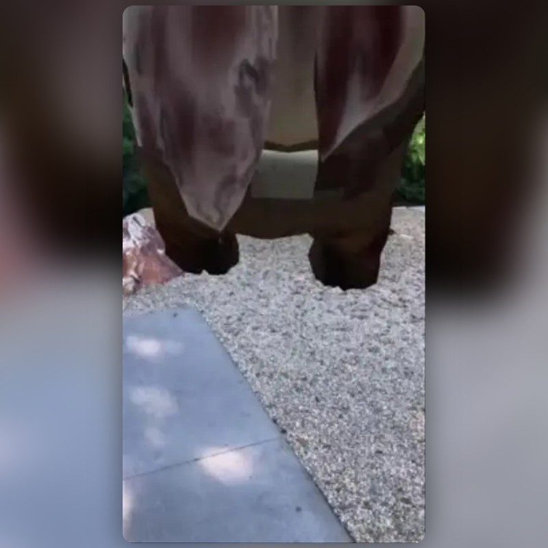 Zombie Ramp 3D Filter by Waronx69 🌴🏴‍☠️ | Snapchat Lenses