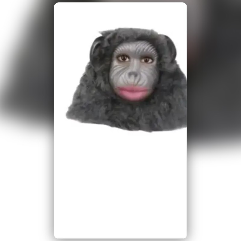 Monkey Head Filter by Insyira | Snapchat Lenses
