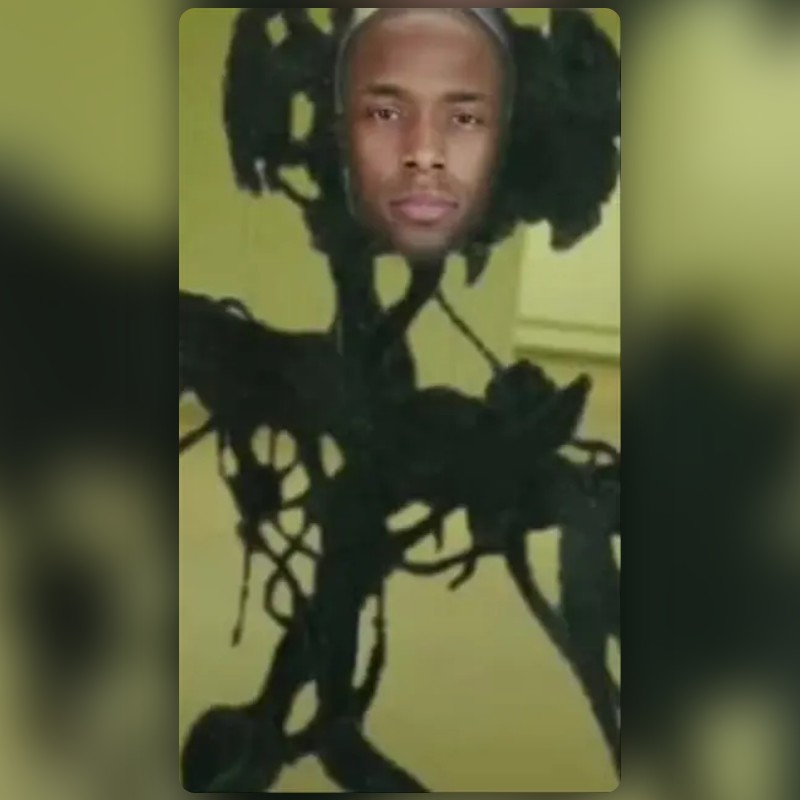 backrooms monster Lens by Cry Baby - Snapchat Lenses and Filters