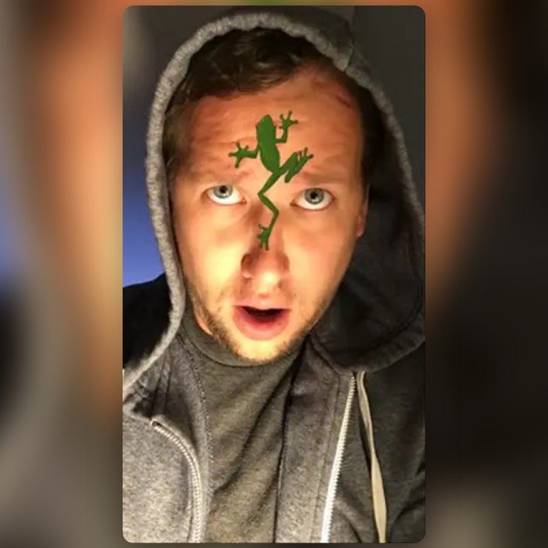 The Frog Witch Filter by matty.platty | Snapchat Lenses