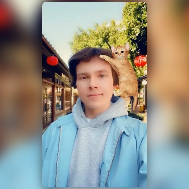 Cute Kitten Lens by Snapchat - Snapchat Lenses and Filters