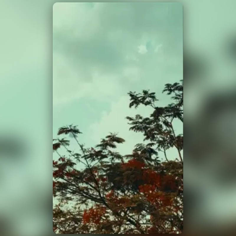 Isolated Fil By M Filter by Manas | Snapchat Lenses