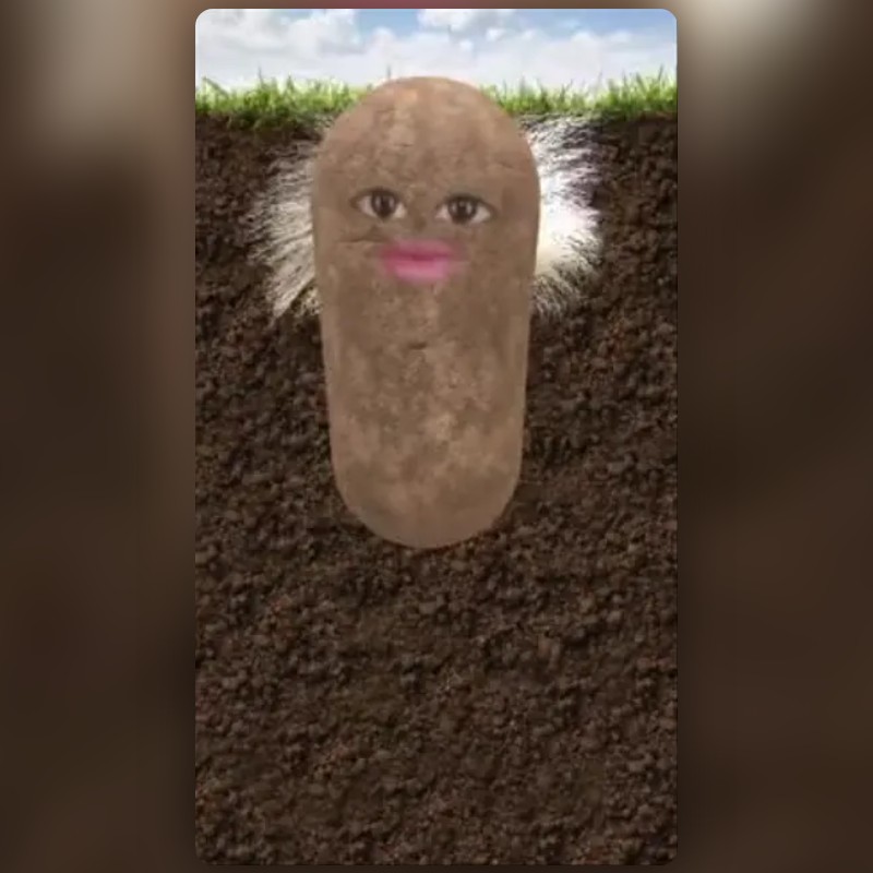 Genius Potato Filter by Phil Walton | Snapchat Lenses