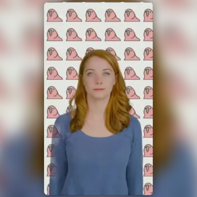 rainbow bird bg Filter by Snapchat | Snapchat Lenses