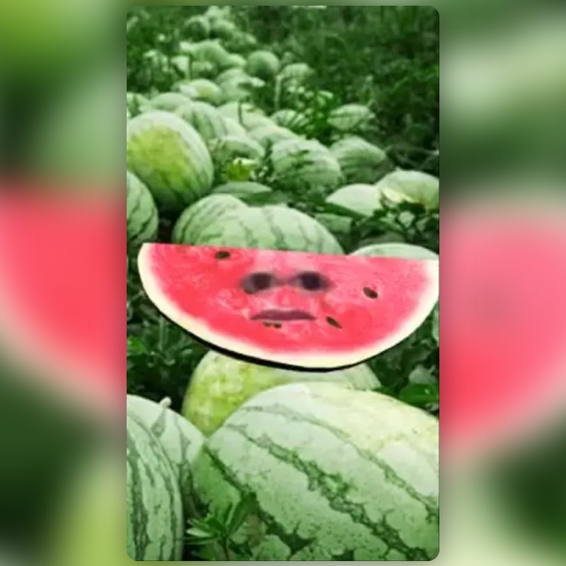Watermelon Head Lens by Marco - Snapchat Lenses and Filters