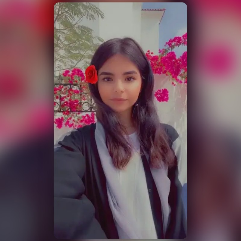 Red Rose Lens by Snapchat - Snapchat Lenses and Filters
