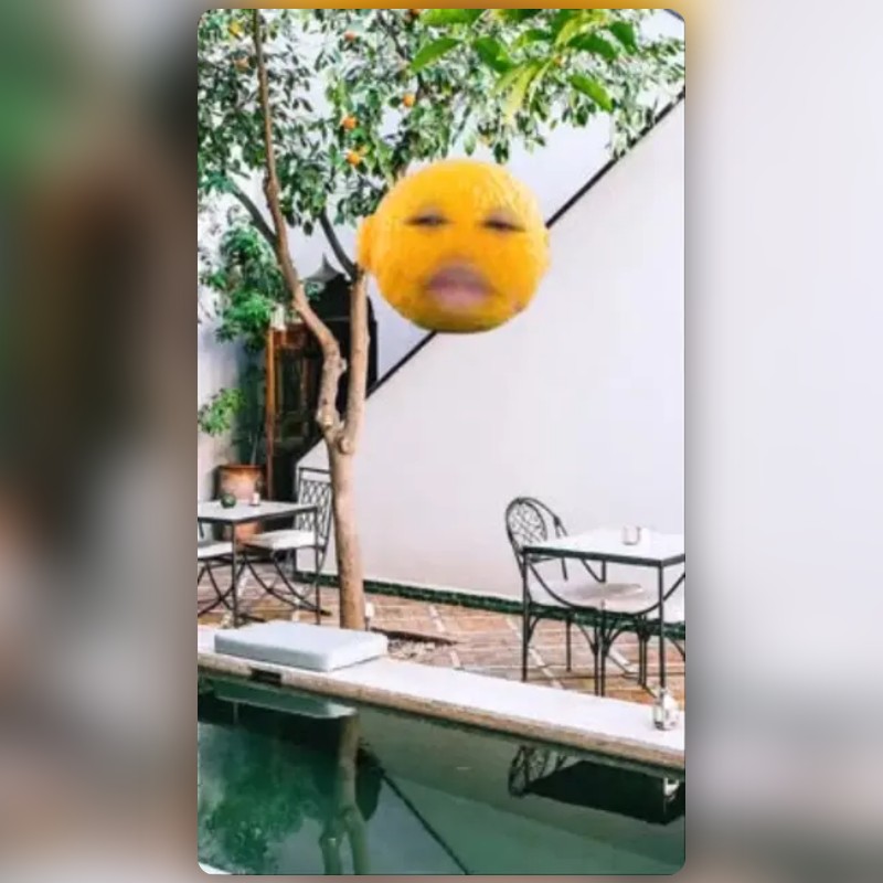 Lemonade Face Lens by Danielle Grace - Snapchat Lenses and Filters