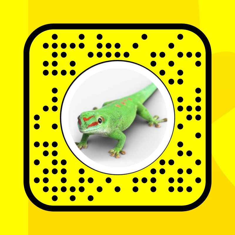 Lizard Morph Filter by Taran | Snapchat Lenses
