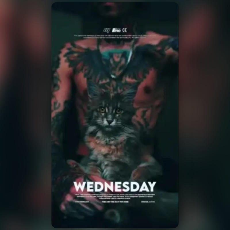 DAYS Lens by Ahmed.A |📸🍂 - Snapchat Lenses and Filters