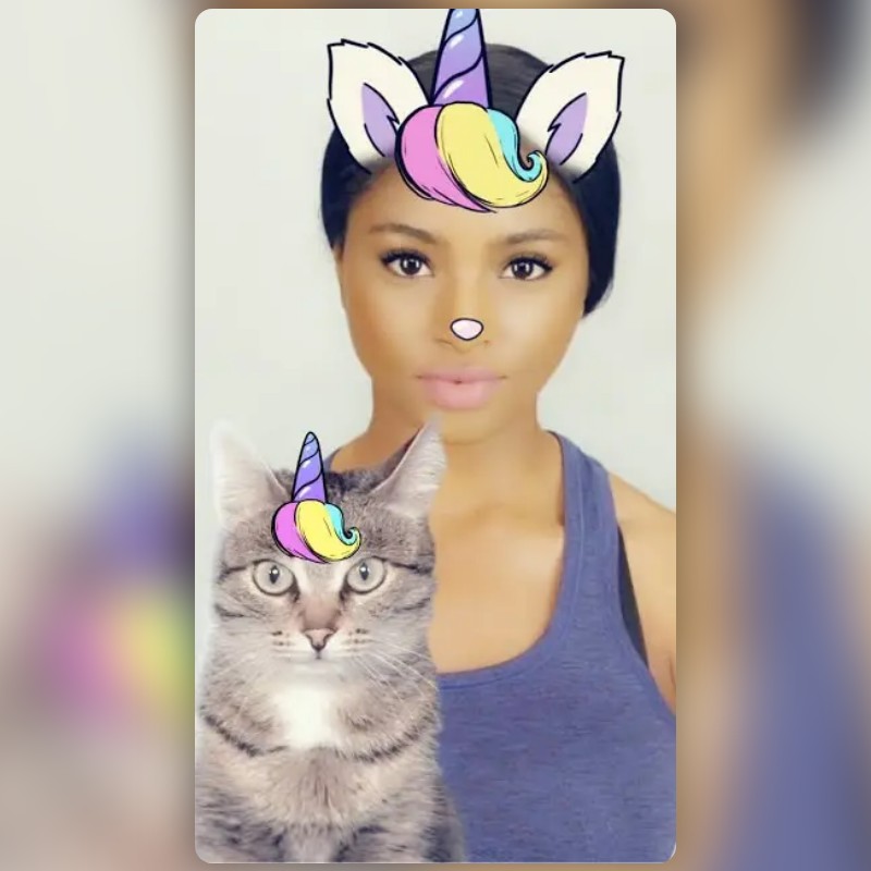 Cat and Unicorn Filter by Snapchat | Snapchat Lenses